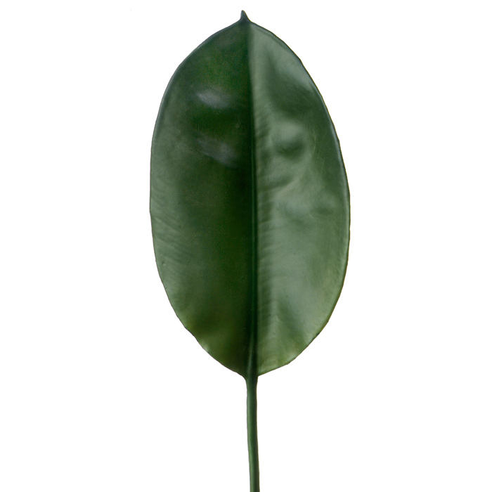 Rubber Plant Leaf w/ Stem | Free Shipping in USA | 1001Shops